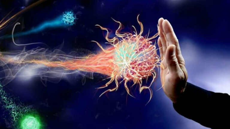 Benefits and Side Effects of Doraji (Bellflower Root), and Top 3 ...